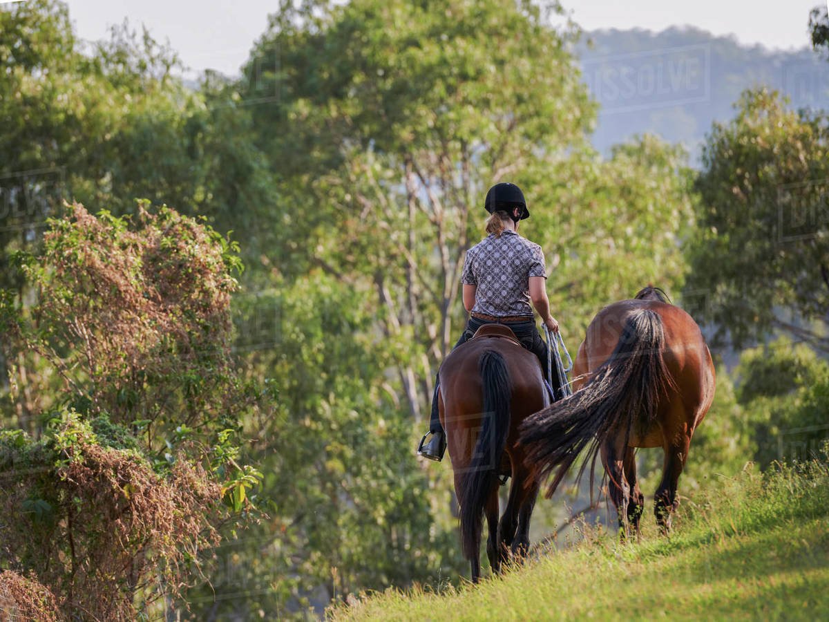 Back view of young woman riding horse and leading another through ...