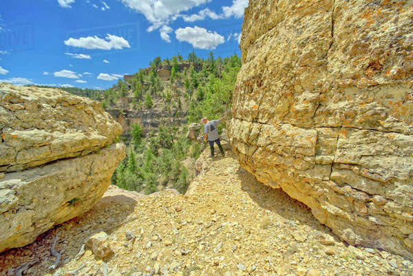 A hiker holding onto a tree branch while leaning over the edge of a ...