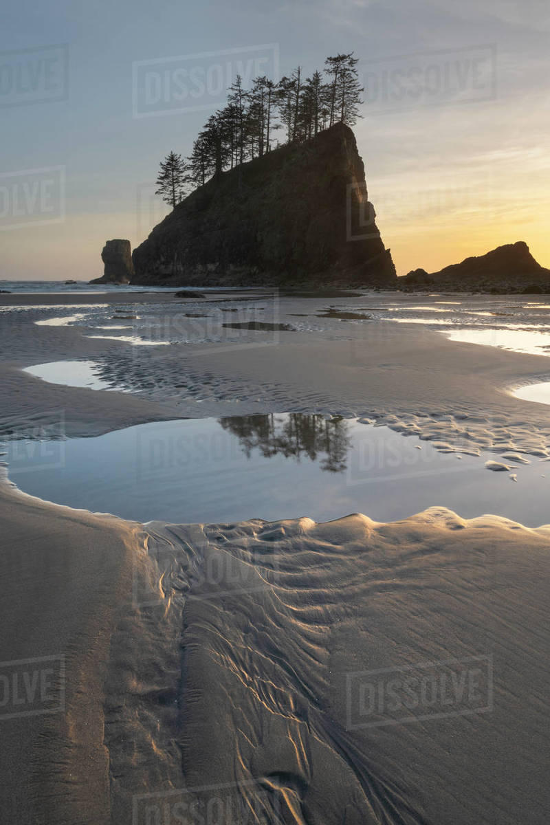 Second Beach tide pools at sunset, Olympic National Park near La Push ...