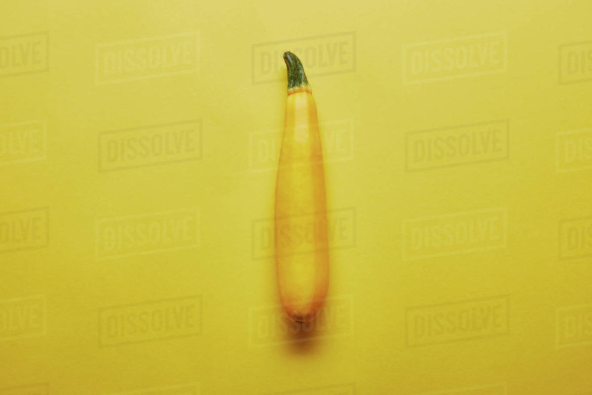 Single yellow squash on yellow background - Stock Photo - Dissolve