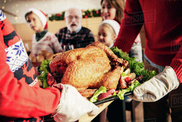 Cropped image of man and woman carrying turkey for christmas ...