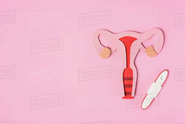 Elevated view of female reproductive system and pregnancy test on pink ...