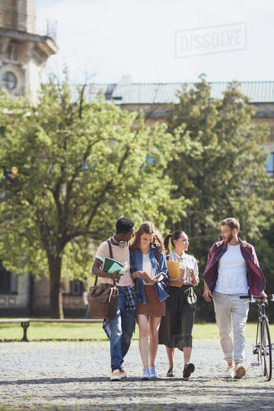 Group of smiling multicultural students walking in park together ...