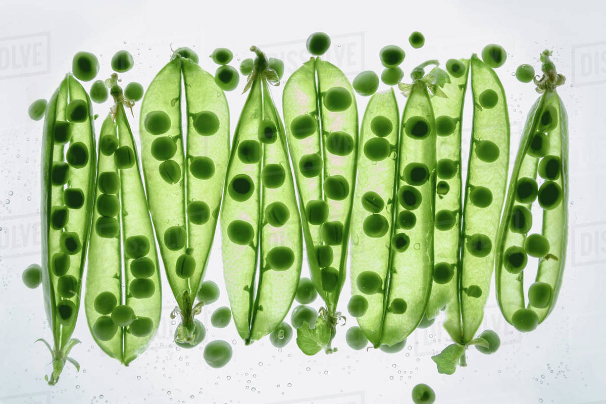 Fresh green peas floating in water with splash on white - Royalty-free ...