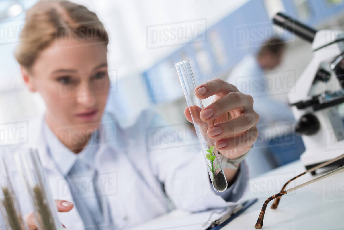 Professional chemist in white coat examining test tube with plant ...