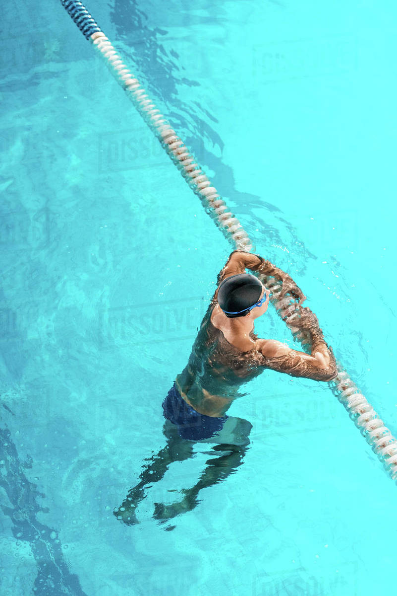 Overhead view of swimmer in competition swimming pool - Royalty-free ...