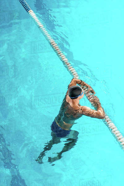 Overhead view of swimmer in competition swimming pool - Royalty-free ...