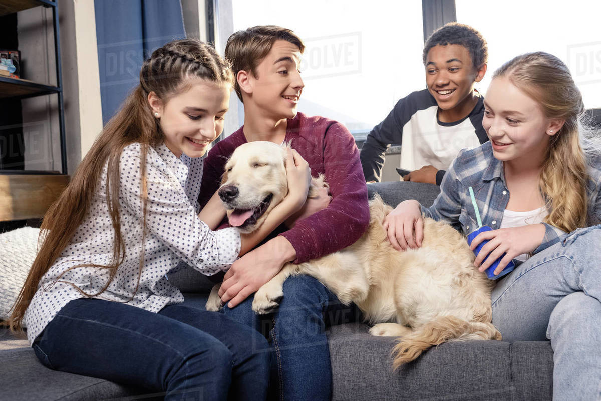 Group of teenagers having fun together with golden retriever dog ...