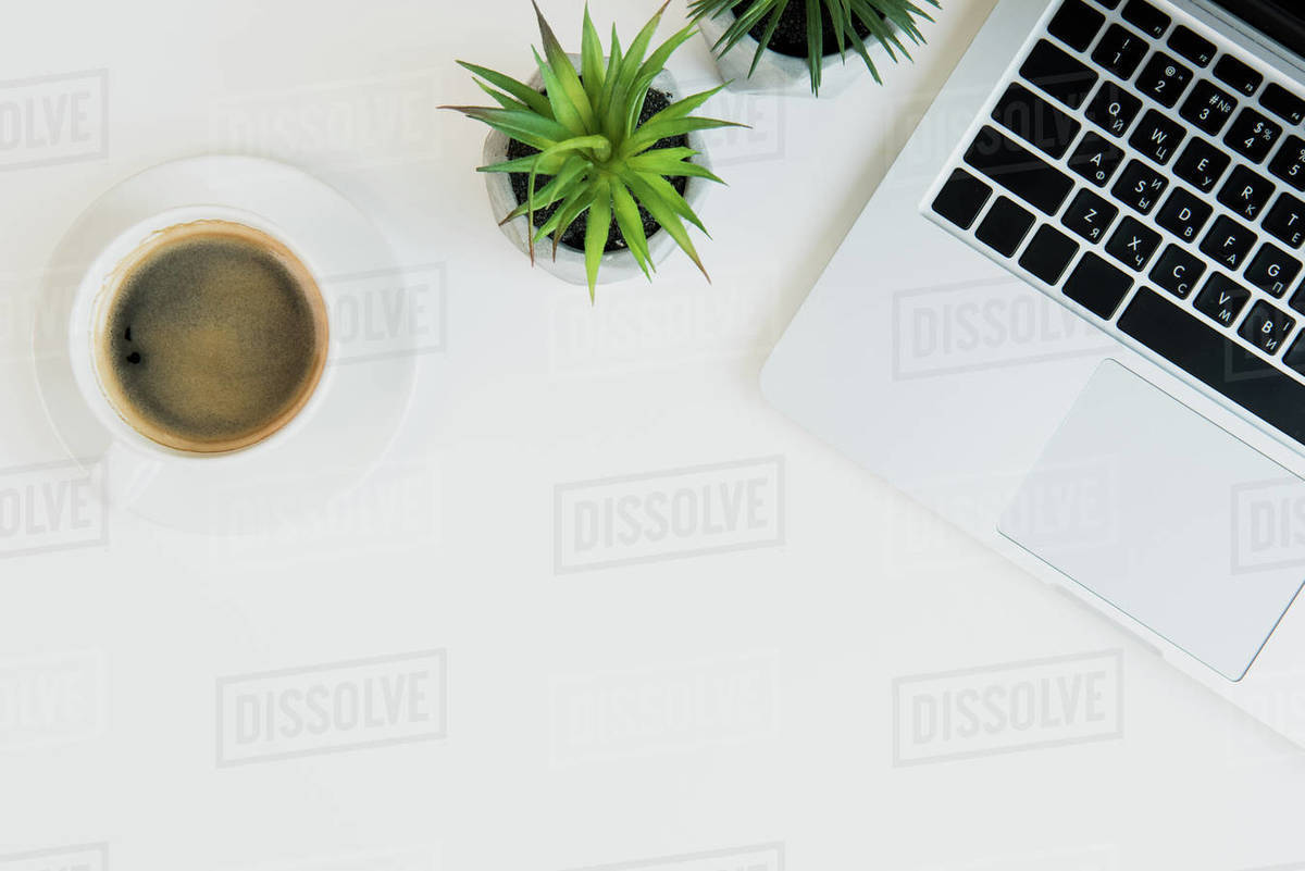 Top view of laptop with cup of coffee and plants on table top. laptop ...