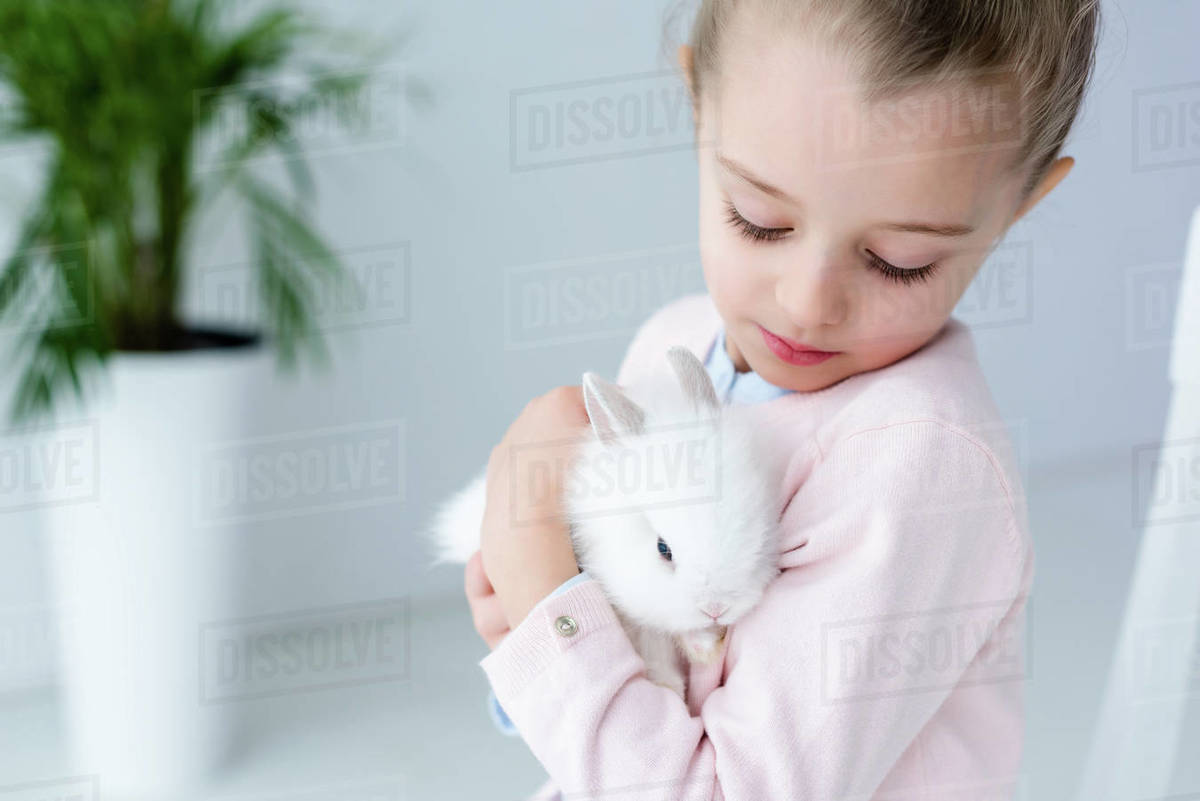 Child girl holding white rabbit - Royalty-free Stock Photo | Dissolve