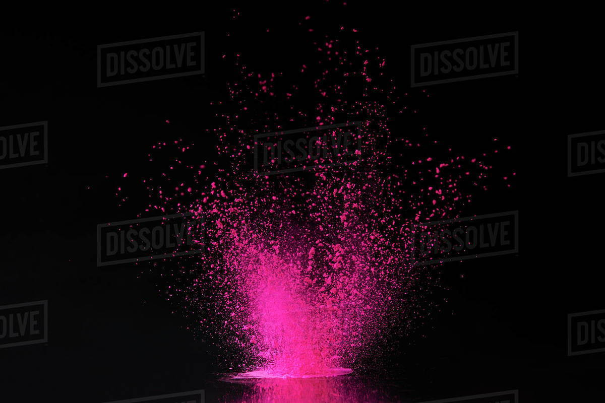 Pink holi powder explosion on black, traditional Indian festival of ...