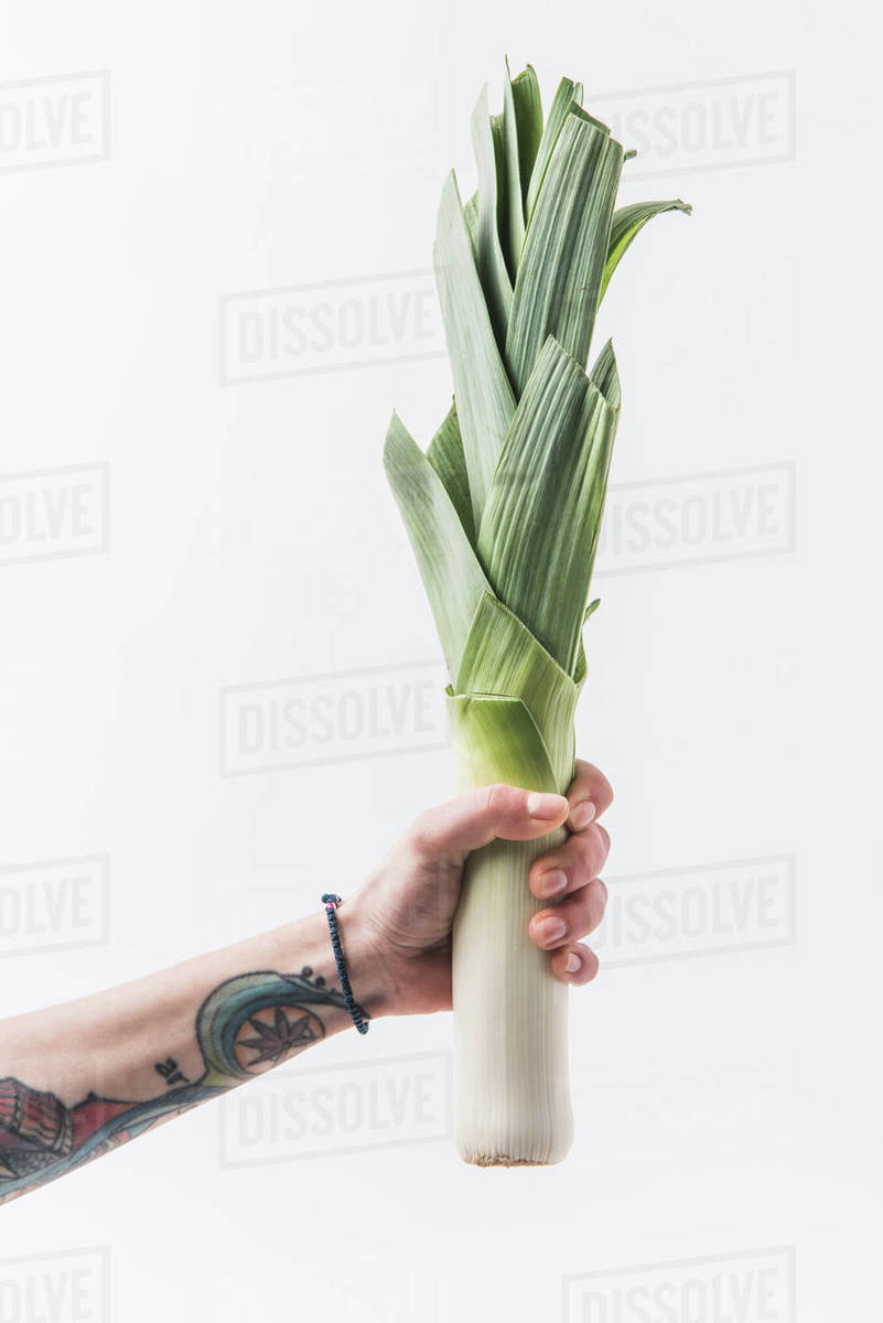 Hand holding green leek isolated on white background - Stock Photo ...