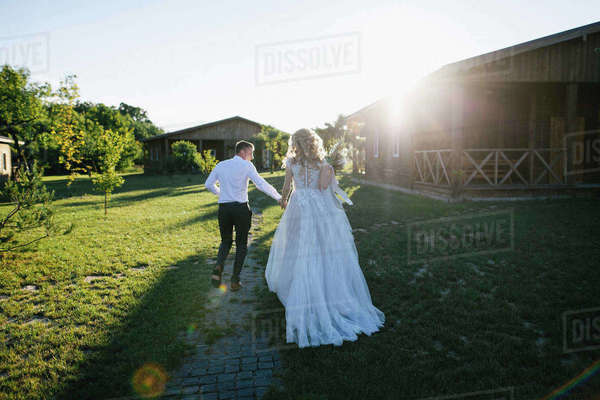 back view of happy beautiful wedding couple holding hands and running ...