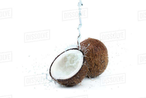 Fresh ripe tropical coconuts with water isolated on white, coconut ...