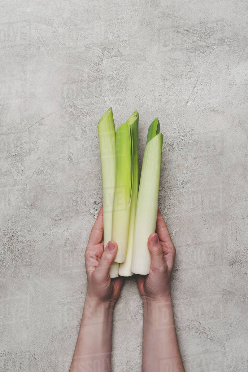 Cropped shot of person holding fresh healthy leeks on grey - Stock ...