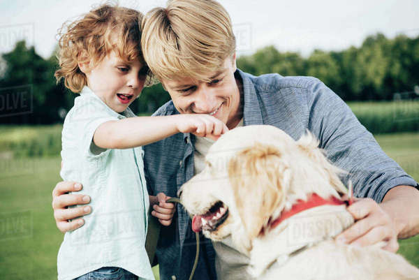 Happy father and son playing with golden retriever dog in park ...