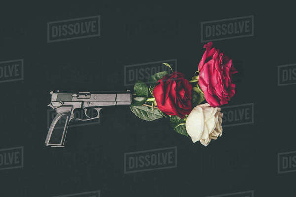 Top view of gun shooting with rose flowers isolated on black - Royalty ...