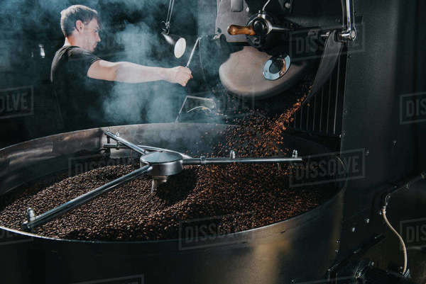 Professional male roaster loading container of steaming machine with ...