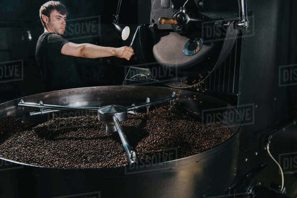 Professional male roaster working with industrial roasting machine ...