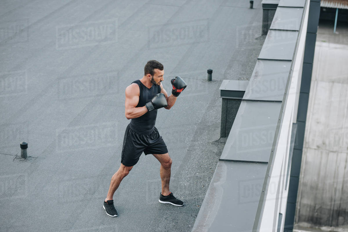 High angle view of boxer training on roof - Stock Photo - Dissolve
