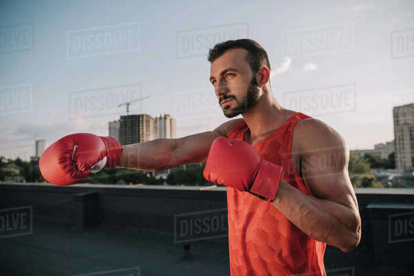 Handsome boxer training with boxing gloves on roof - Stock Photo - Dissolve