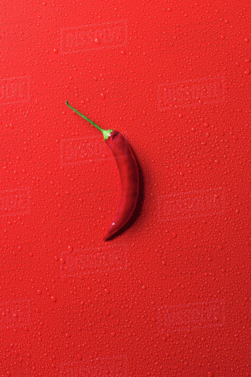 top view of one red chili pepper on red surface with water drops ...