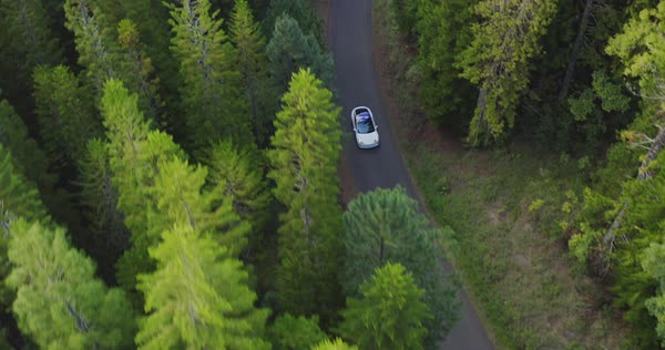 Aerial view of a modern white car driving on a country road surrounded ...