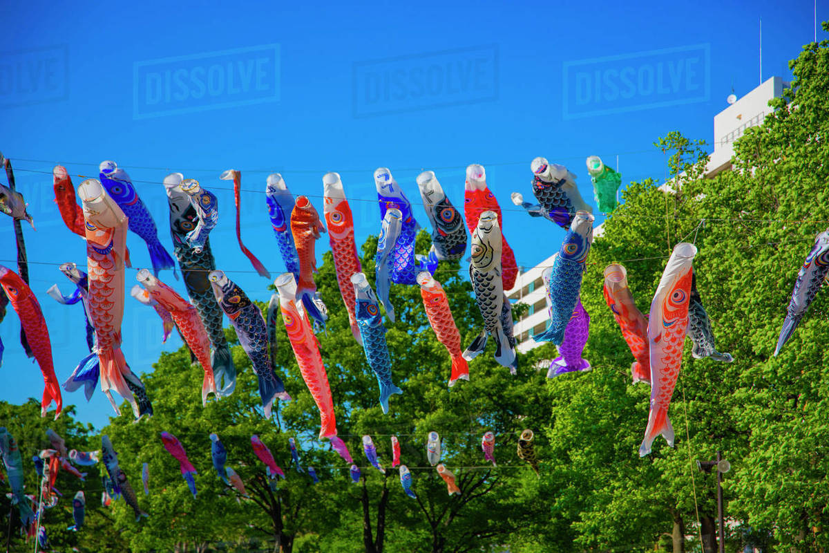 Carp streamer at the park daytime sunny. Sumida district Tokyo Japan ...