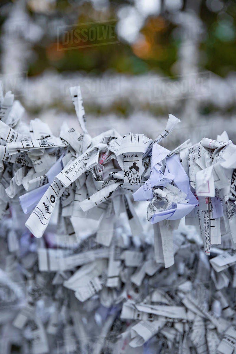 Oracles at Japanese traditional shrine. Chiyoda district Tokyo Japan ...