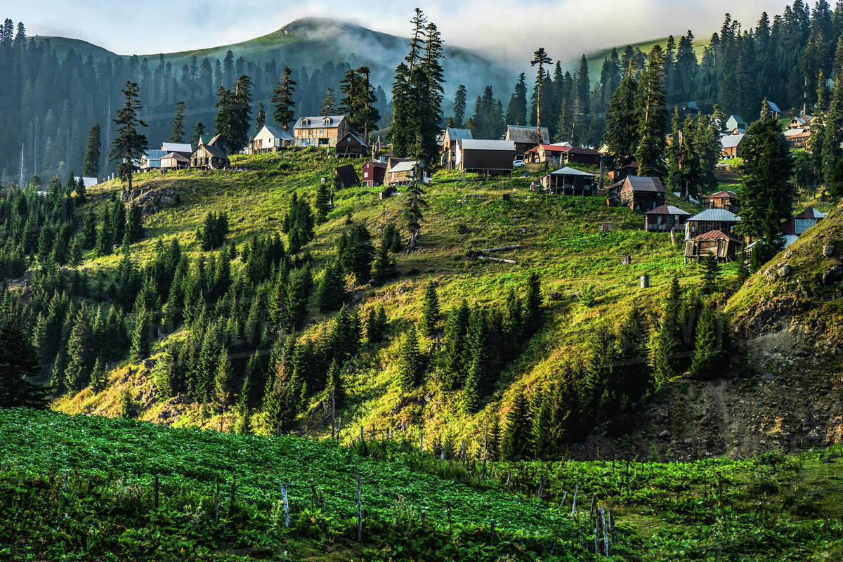 Traditional village houses in the Caucasus mountains, Bakhmaro ...