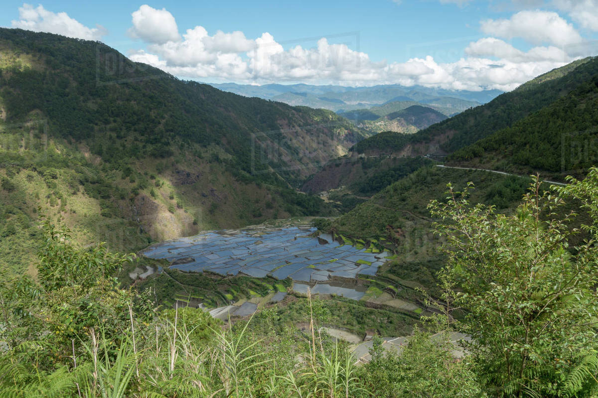 Flooded rice terraces near Bayyo in luzon, Philippines - Royalty-free ...