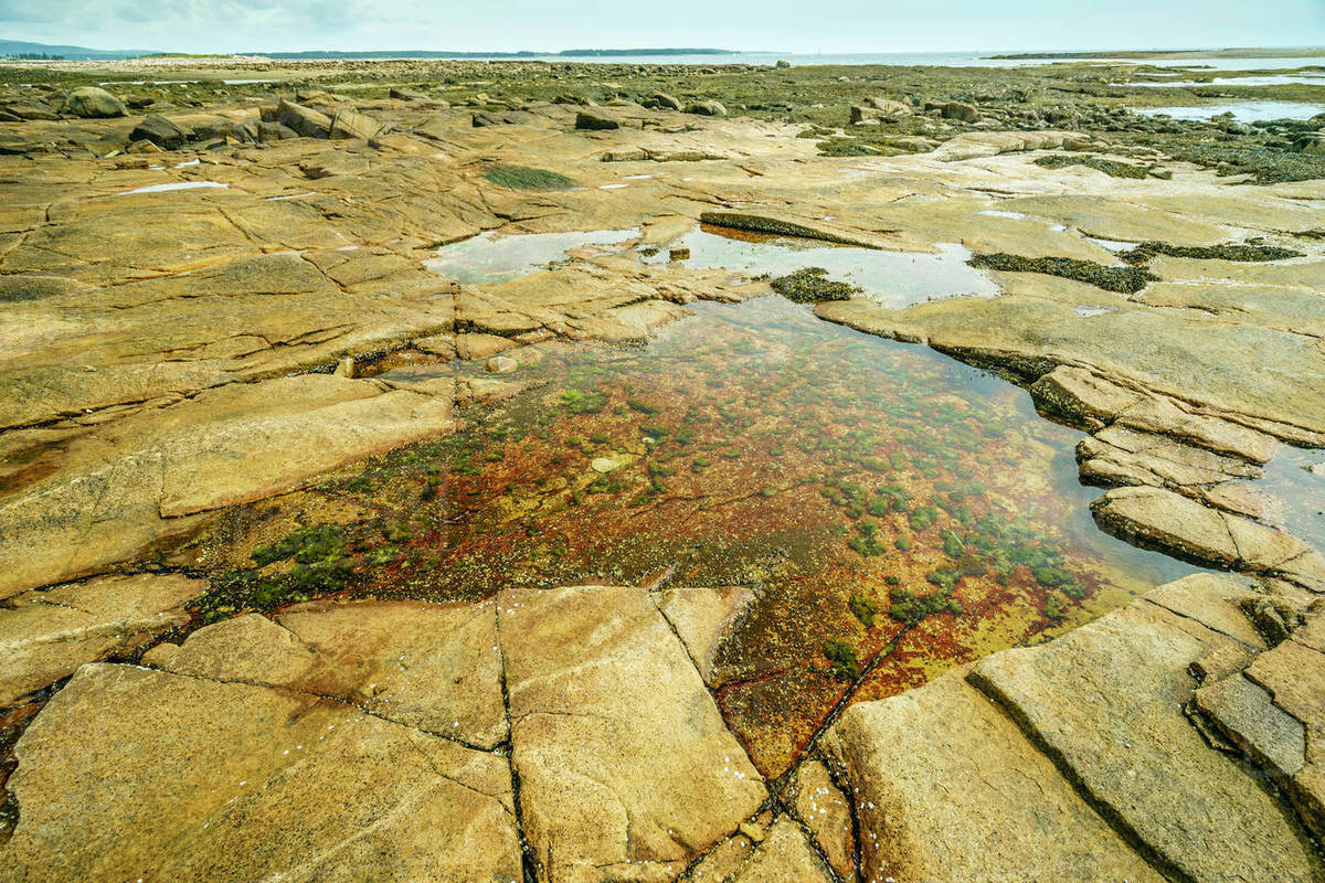 Coastal tidal pool, Acadia National Park, Maine, USA - Royalty-free ...