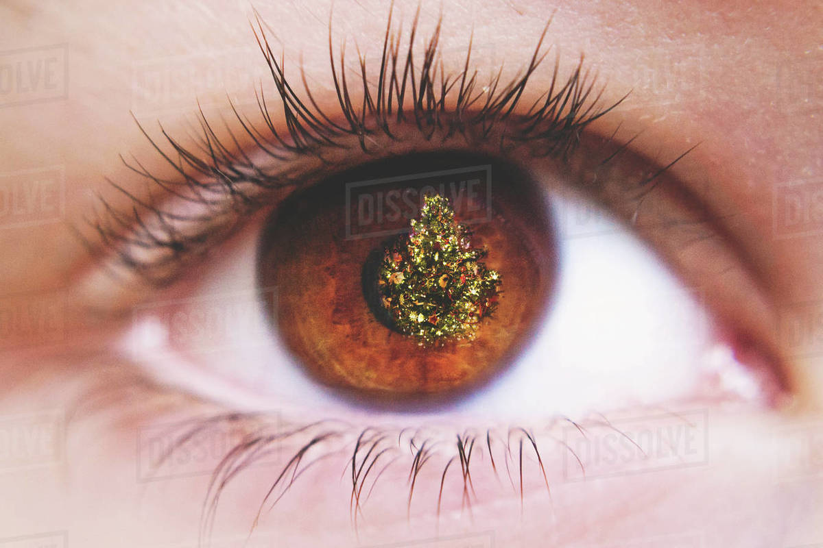 Close up of refection of Christmas tree in a child's eye - Royalty-free ...