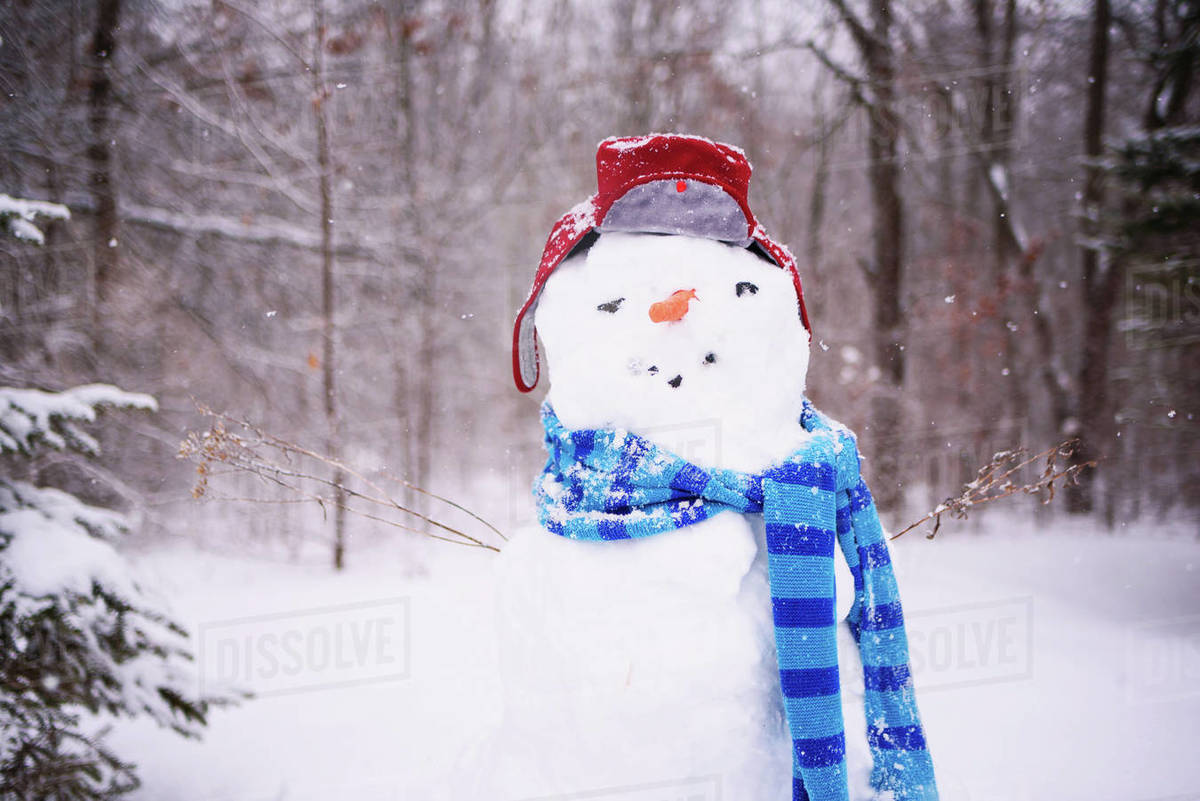 Snowman wearing a hat and scarf - Royalty-free Stock Photo | Dissolve