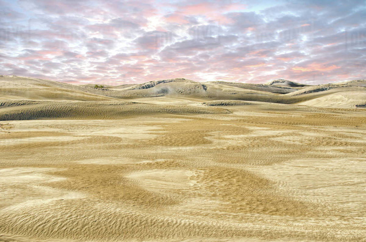 Lancelin Sand dunes, Perth, Australia - Stock Photo - Dissolve