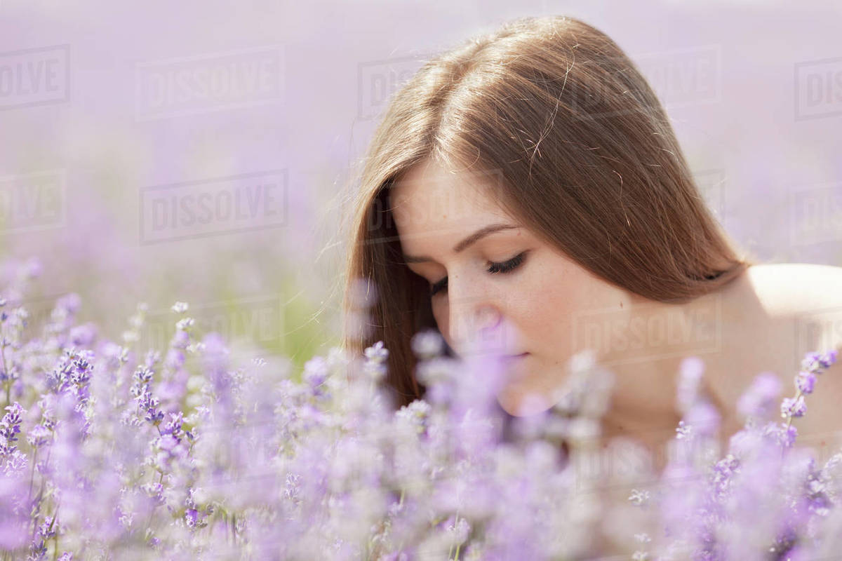 Woman smelling lavender blossom, Bulgaria - Royalty-free Stock Photo ...