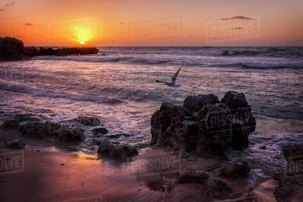 Beach at sunset, Perth, Western Australia, Australia - Royalty-free ...