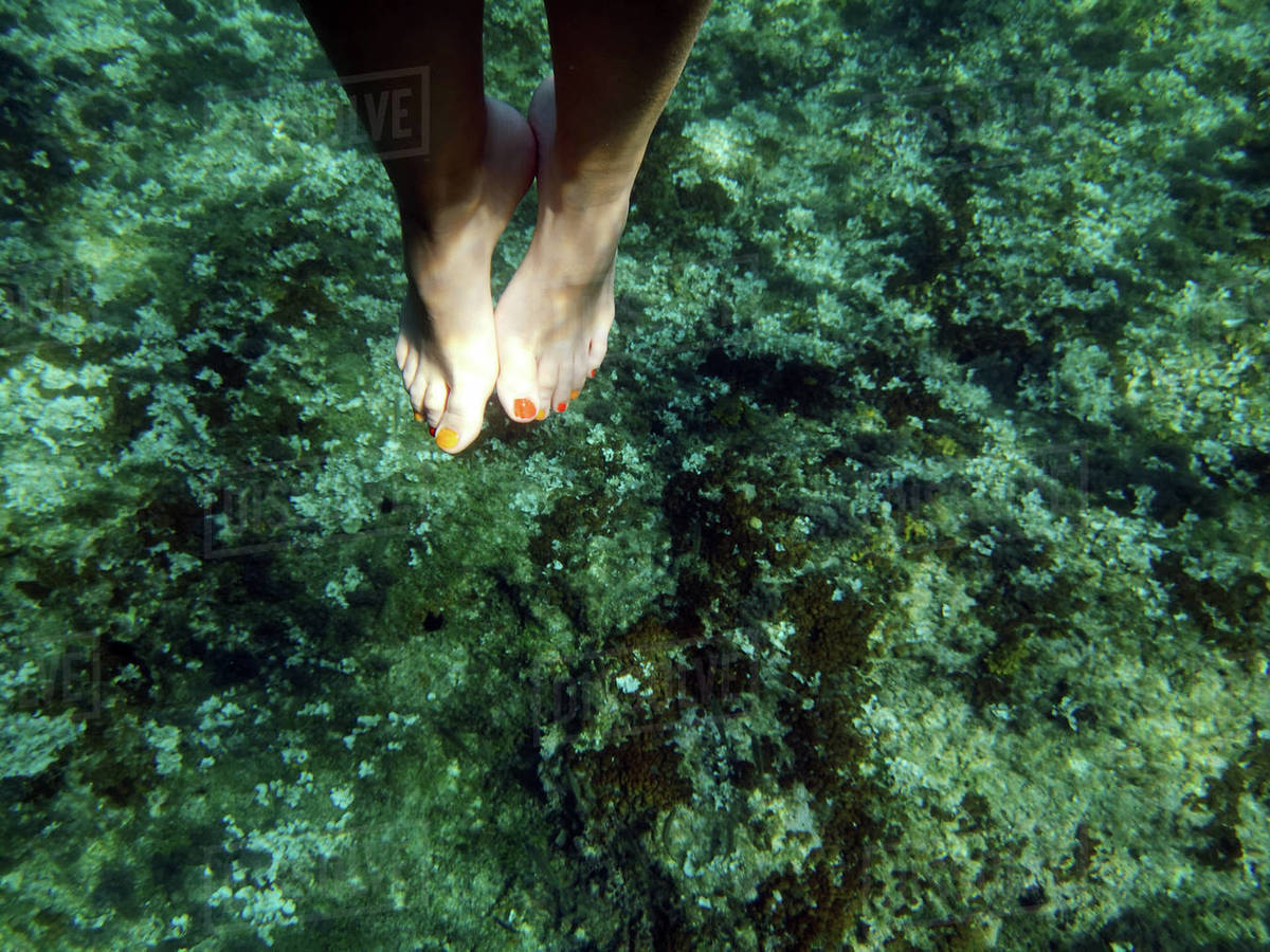 Close-up of a woman's feet underwater, Malta - Royalty-free Stock Photo ...