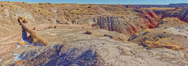 Onyx Bridge, Petrified Forest National Park, Arizona, USA - Royalty ...