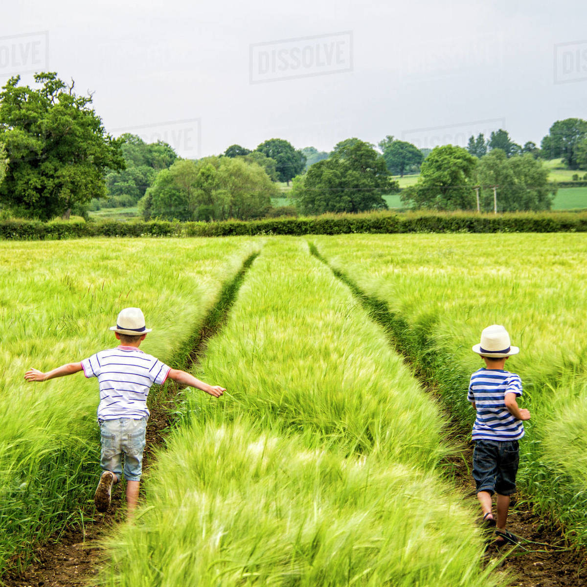Two boys running through field - Royalty-free Stock Photo | Dissolve