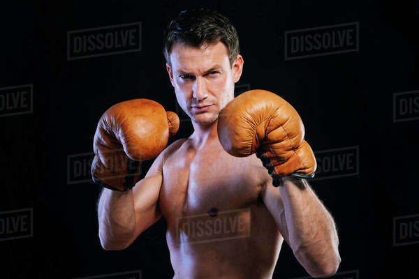 Portrait of a Male boxer - Stock Photo - Dissolve