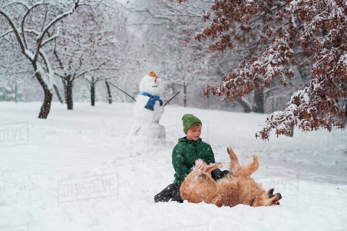 Boy playing with his dog in the snow, USA - Royalty-free Stock Photo ...