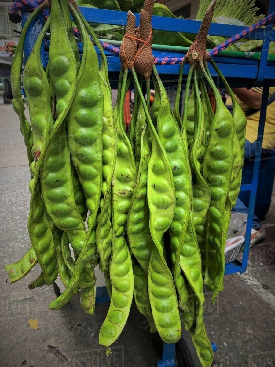 Stink beans for sale, Bangkok, Thailand - Royalty-free Stock Photo ...