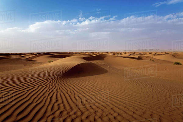 Desert landscape, Riyadh, Saudi Arabia - Royalty-free Stock Photo ...