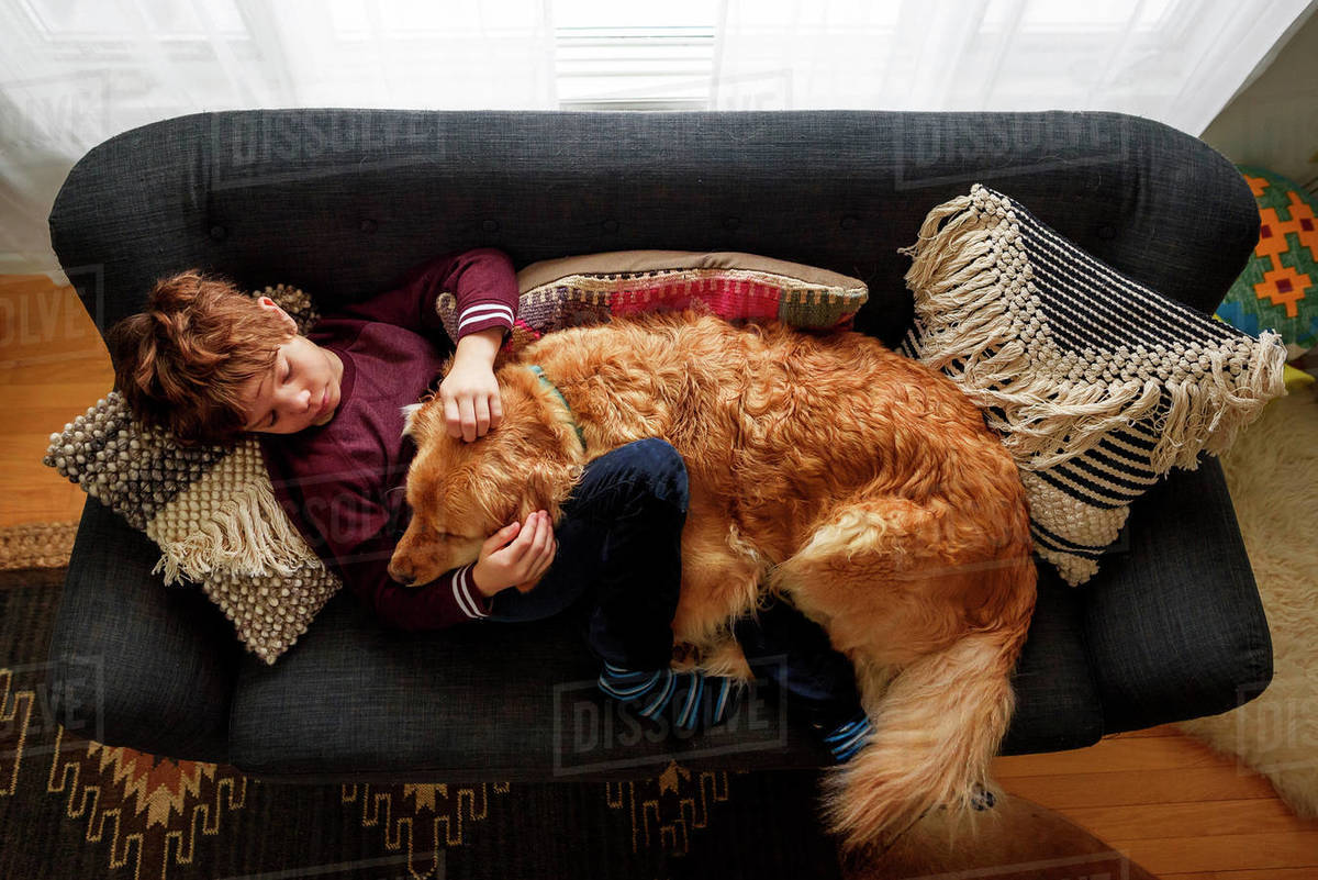 Boy lying on a couch cuddling a golden retriever dog - Royalty-free ...