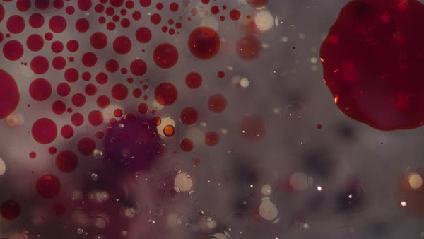 Abstract red and clear liquid cells floating texture background - 4K ...