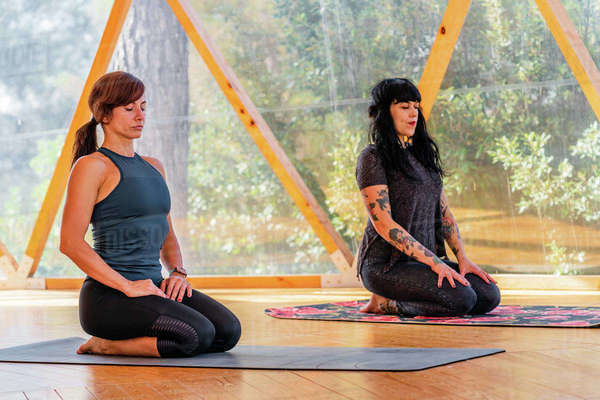 Women sitting in seiza pose on mats on parquet while practicing yoga in ...