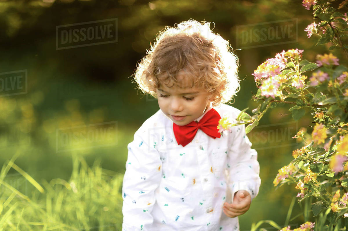 Little cute boy sniffing flower in park - Royalty-free Stock Photo ...