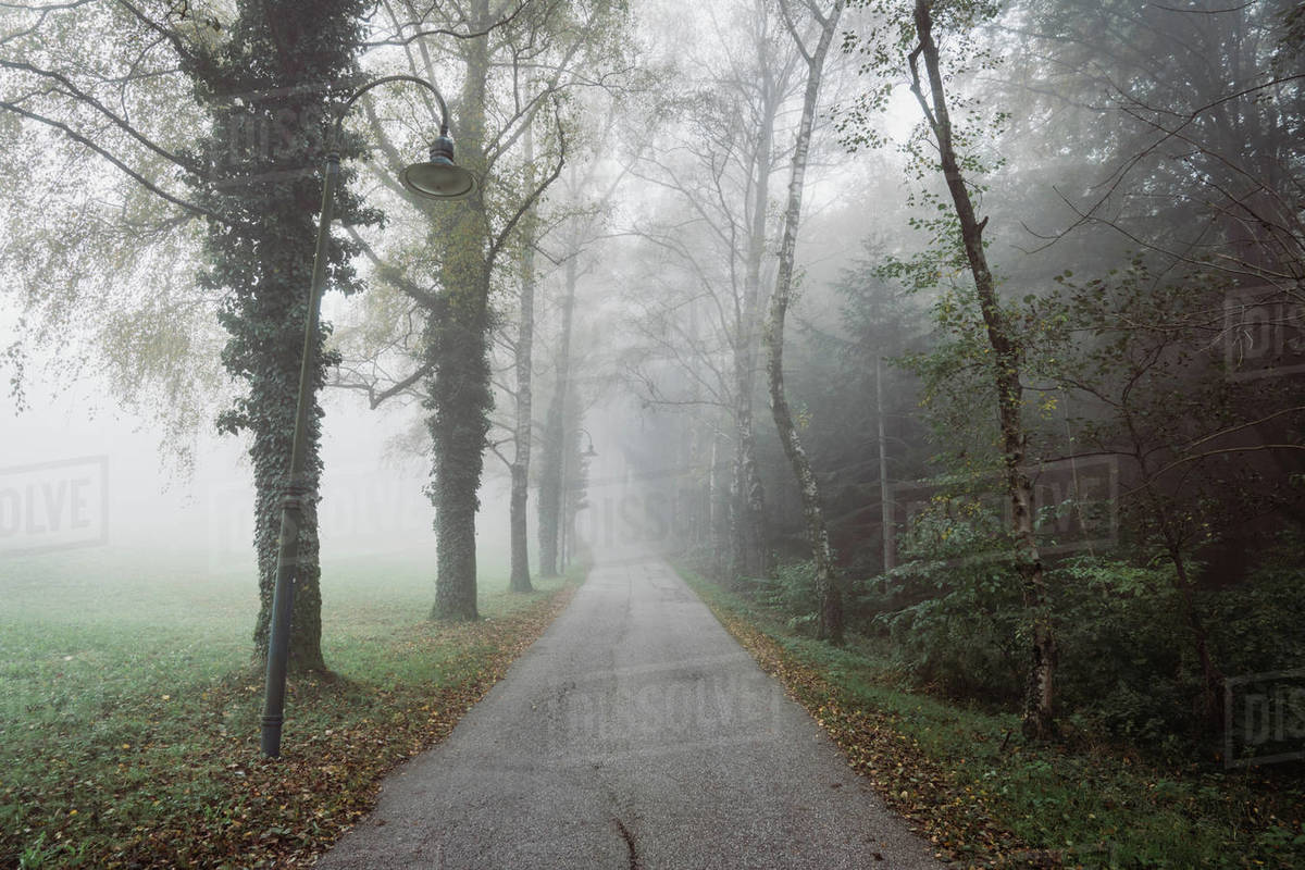 Gloomy landscape with old streetlights along empty alley crossing foggy ...
