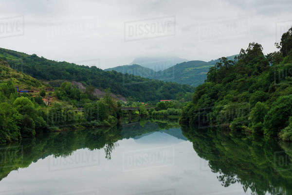 Peaceful river flowing in green nature - Stock Photo - Dissolve